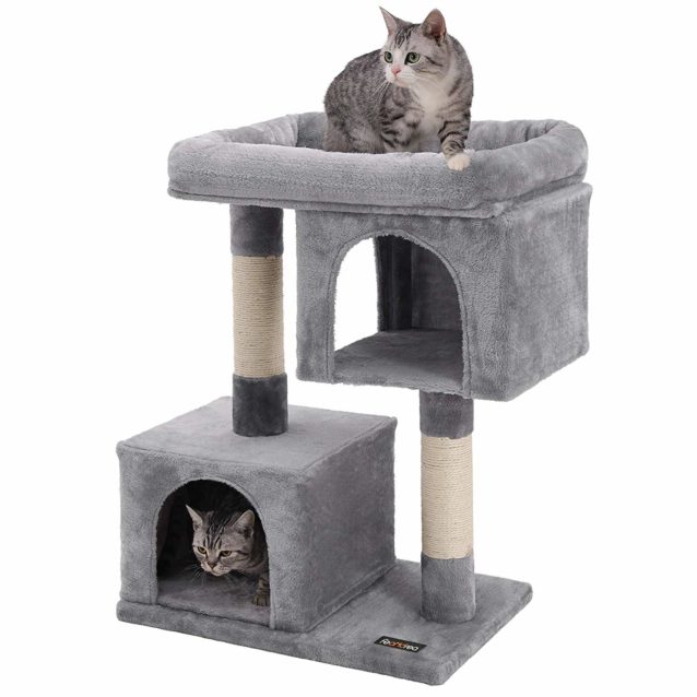The Cutest Cat Condos You Can Get on Amazon