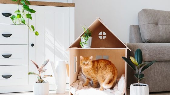 The Importance of Housekeeping for a Comfortable Home