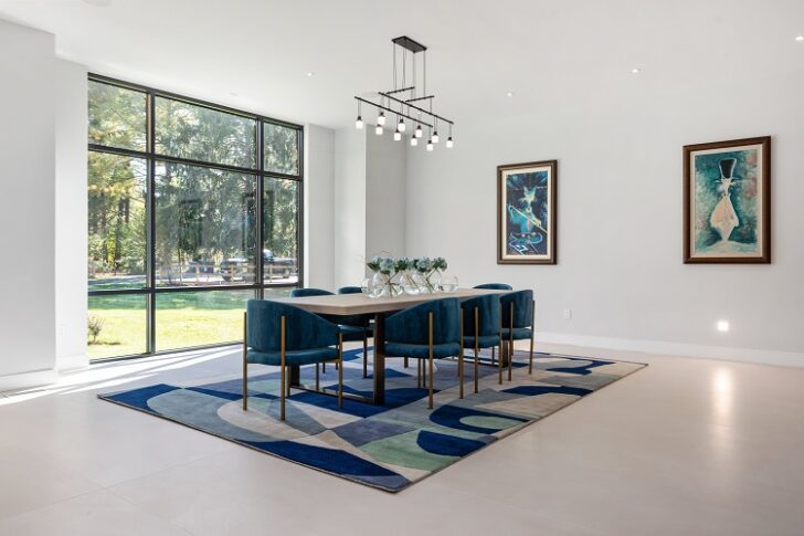 Newly-built house in affluent Washington, DC suburb wows with its ...